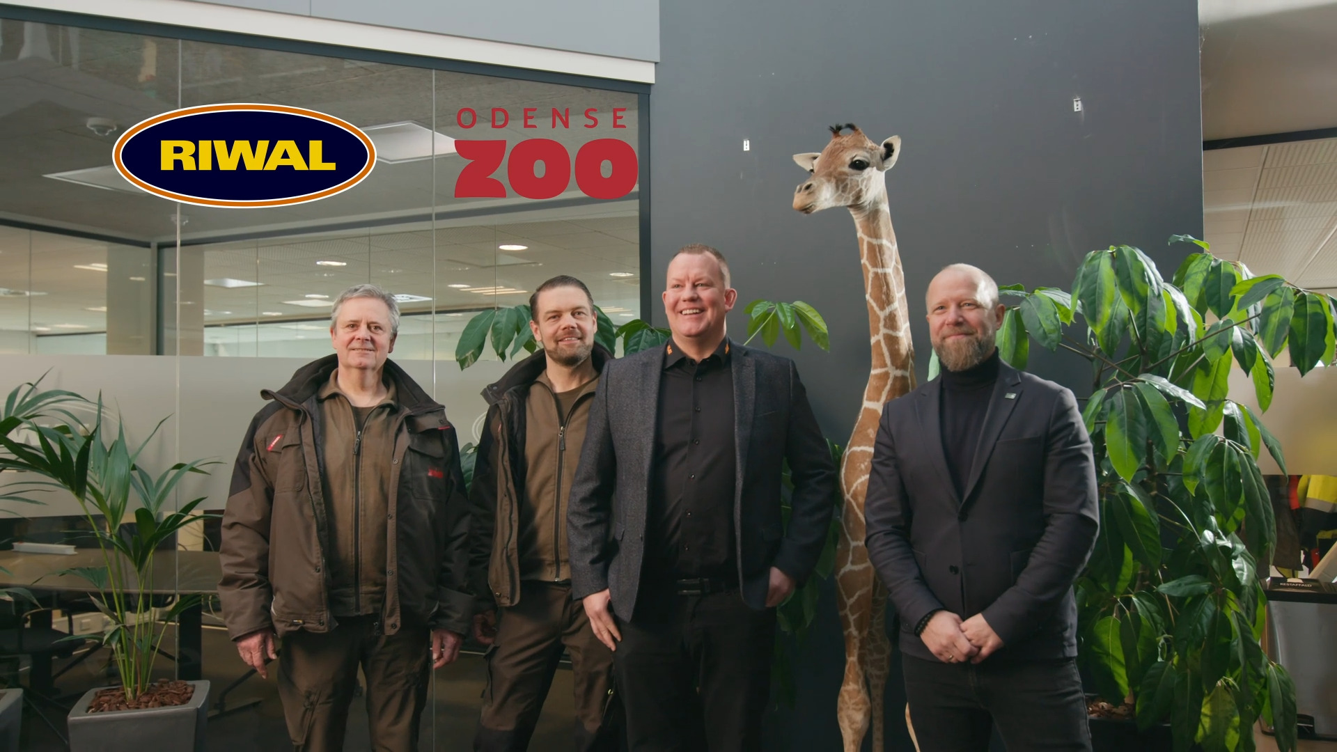 Giraf på besøg hos Riwal Danmark | Blog | Riwal